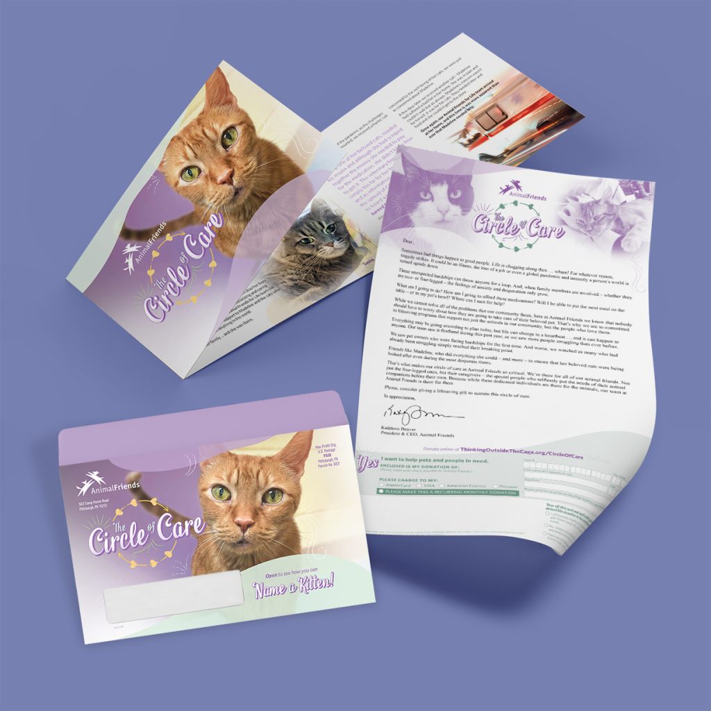 Nonprofit Direct Mail Examples - Direct Axis