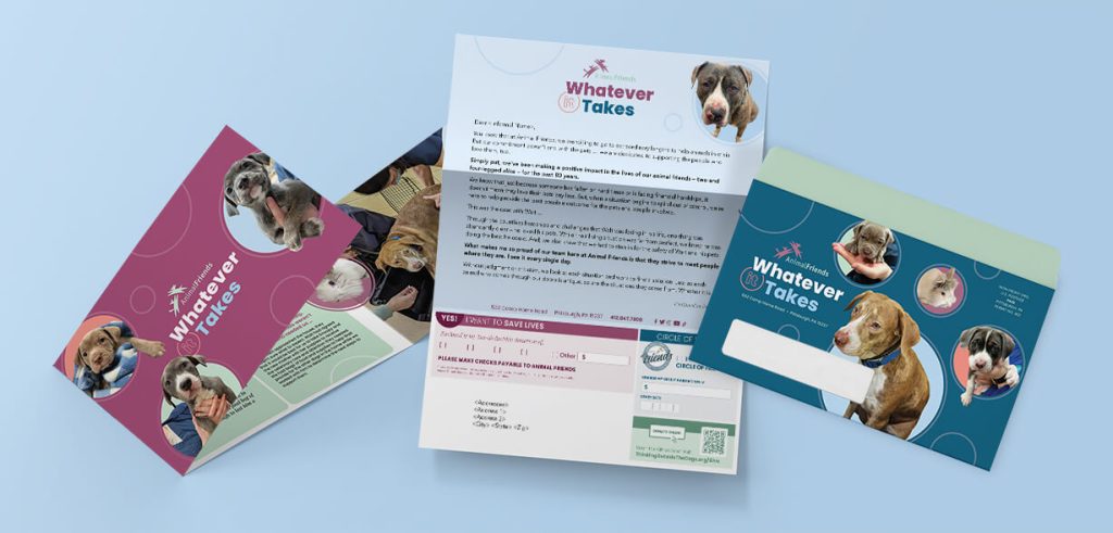 Nonprofit Direct Mail Examples - Direct Axis